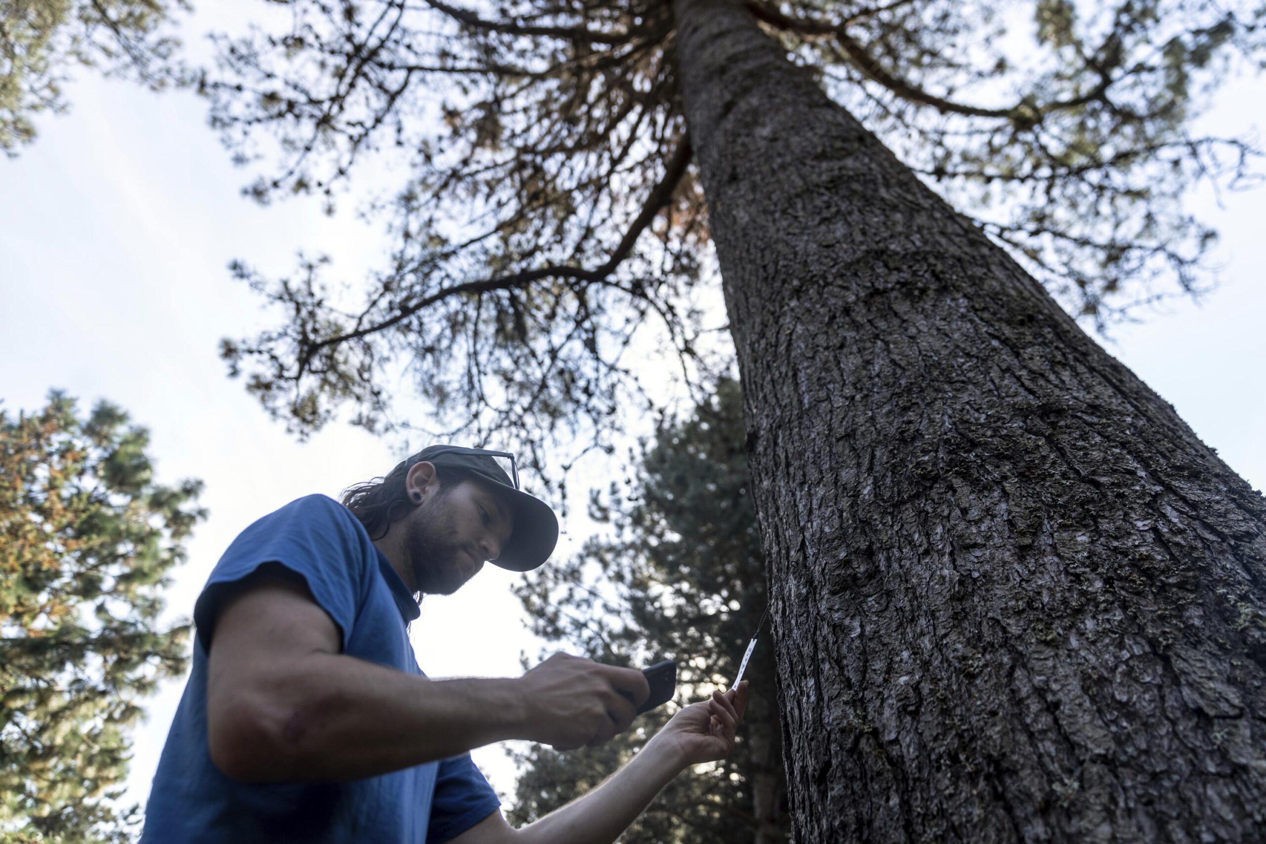 Cómo proteger la atmósfera ante los efectos contaminantes