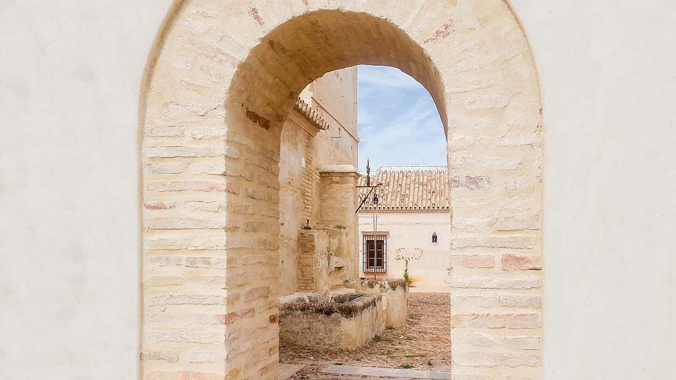 Cuál es la cal muerta o apagada: Entendiendo sus características y usos