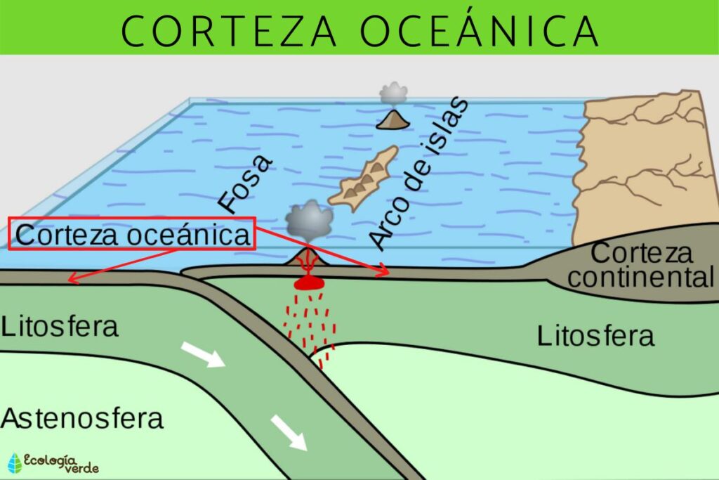 Qué significa corteza oceánica: una exploración profunda