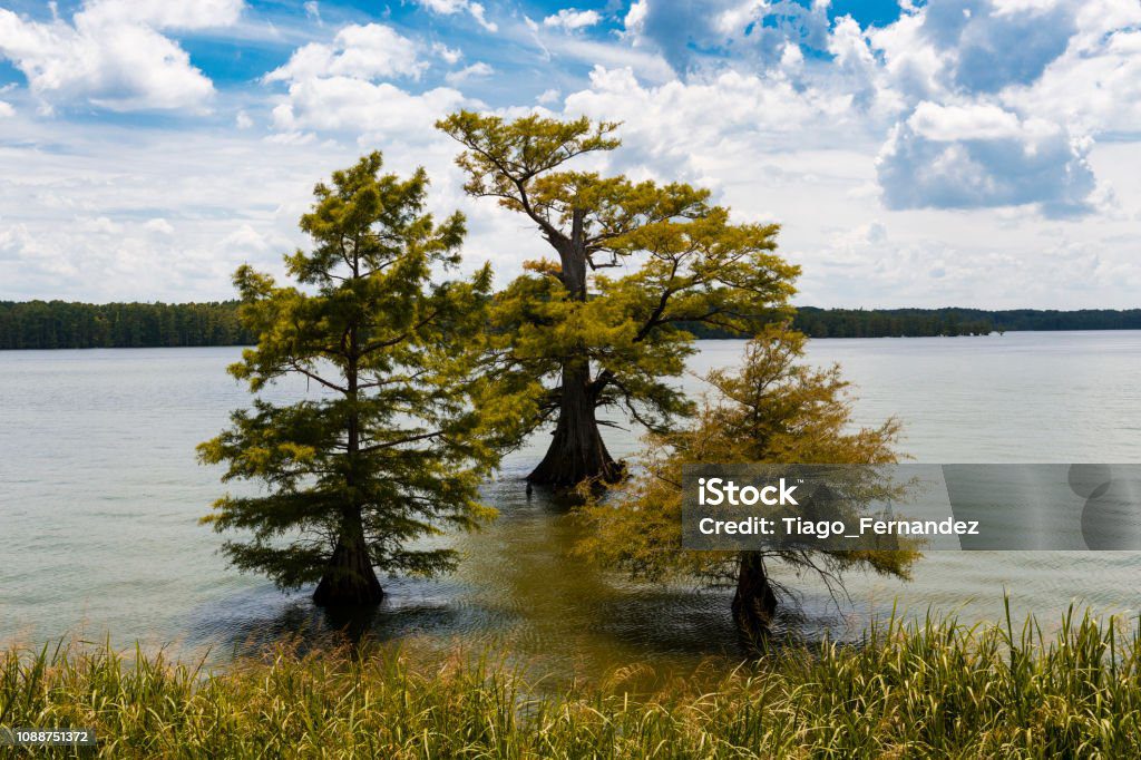 Cuántos países atraviesa el río Mississippi Missouri y Jefferson