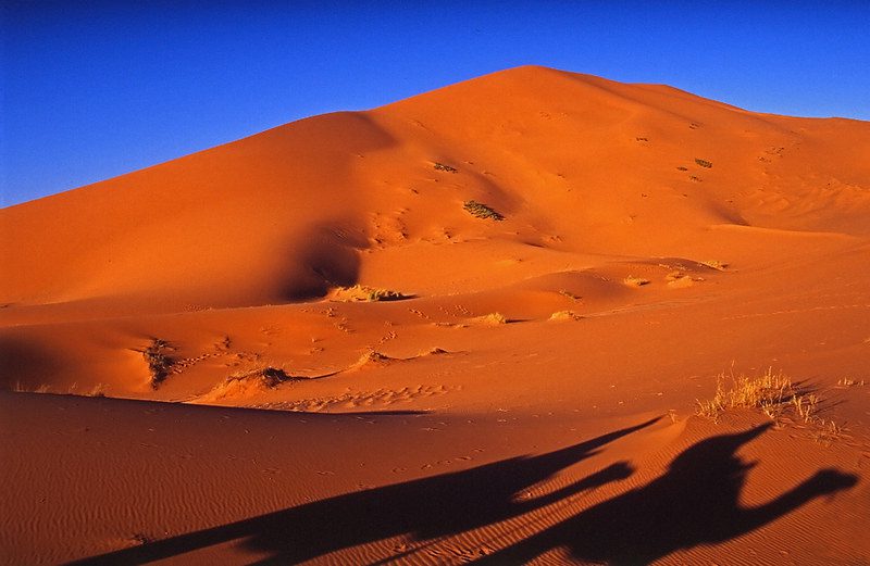 Por qué el desierto de Sahara tiene un clima seco